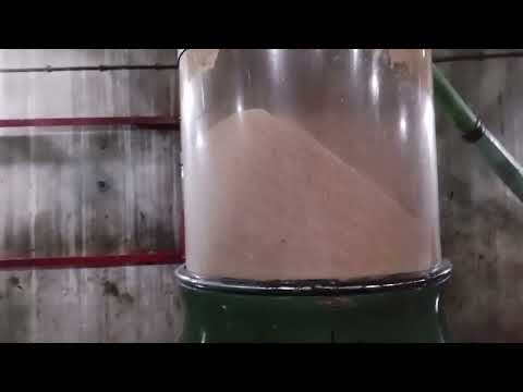 Flour Mills " body in flour Mills " - YouTube