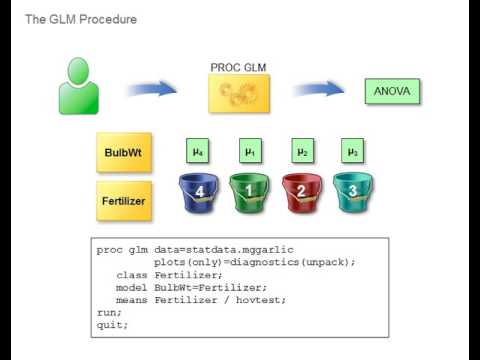 51 The GLM Procedure - YouTube