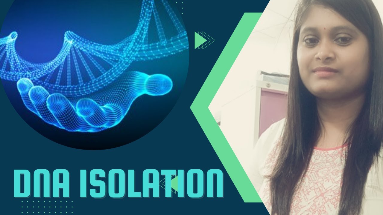 DNA ISOLATION | DNA EXTRACTION | MOLECULAR LAB TECHNIQUES - YouTube