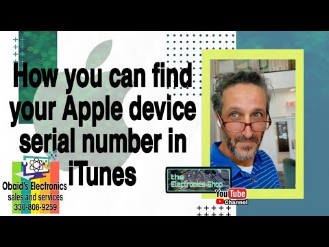 How you can find your Apple device serial number in iTunes if you ...