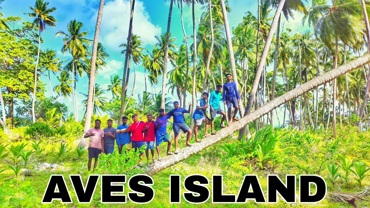 A Journey To Aves Island Mayabunder | North and Middle Andaman - YouTube