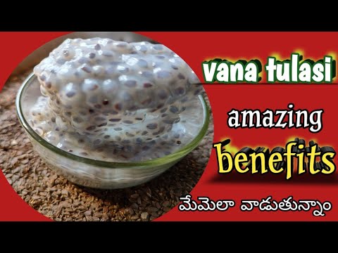 #mahabeera seed uses||how to use||full details - YouTube