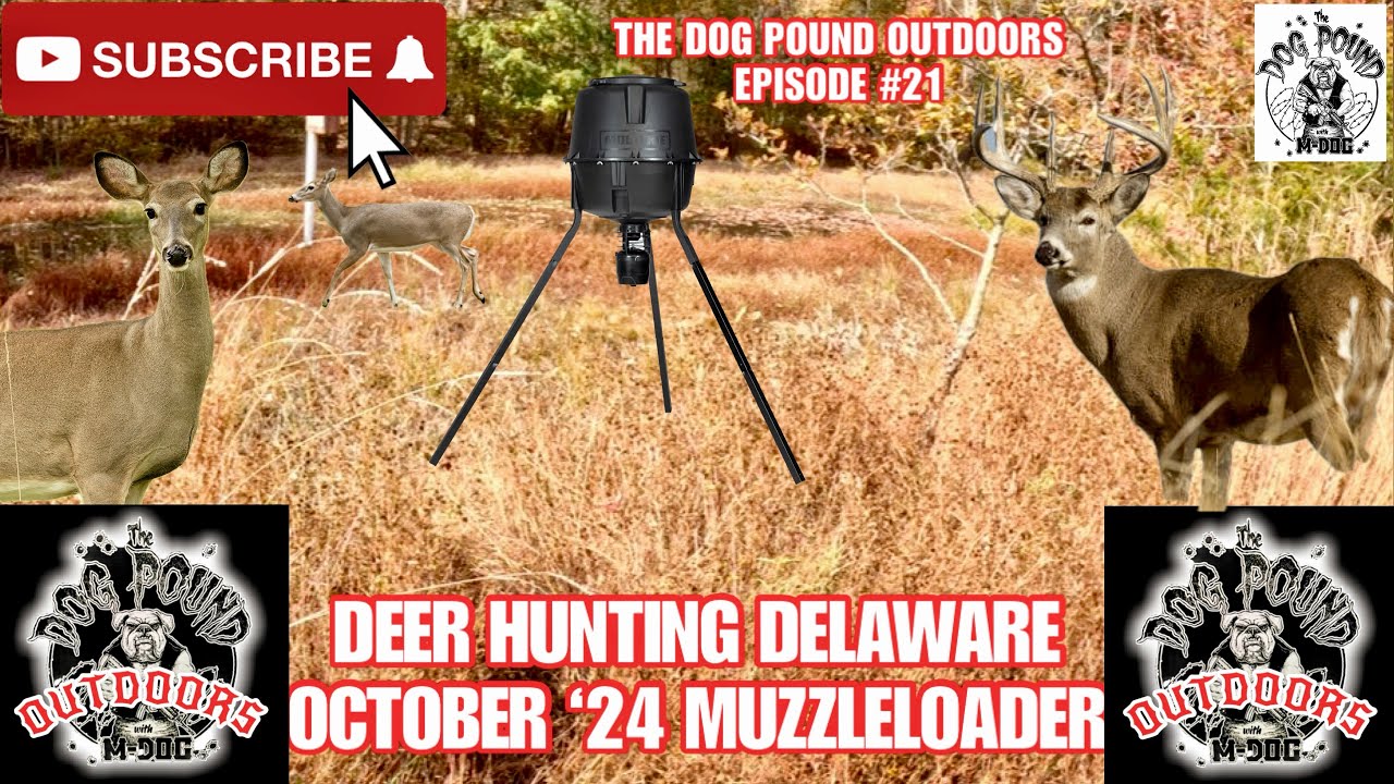 DEER HUNTING DELAWARE! OCTOBER ‘24 MUZZLELOADER HUNT PART 2! - YouTube