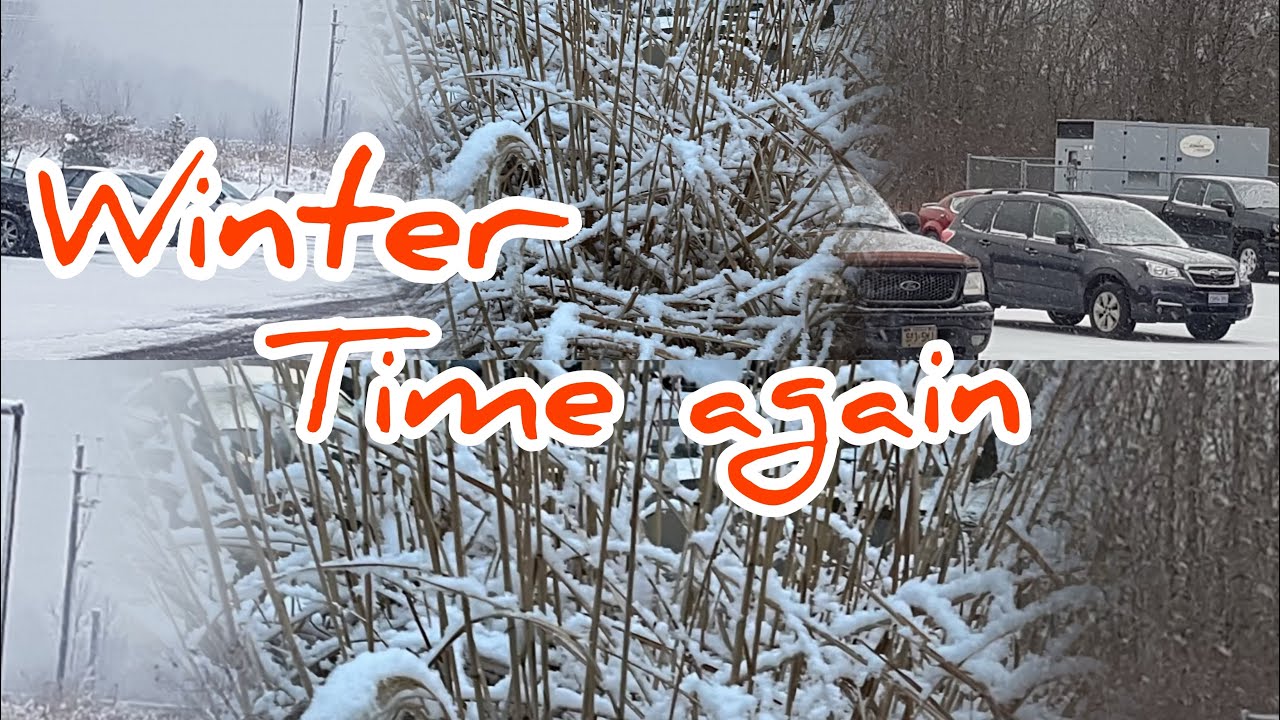 ITS WINTER AGAIN @joytheislandgirl5463 @lhanlhankulog2773 ...
