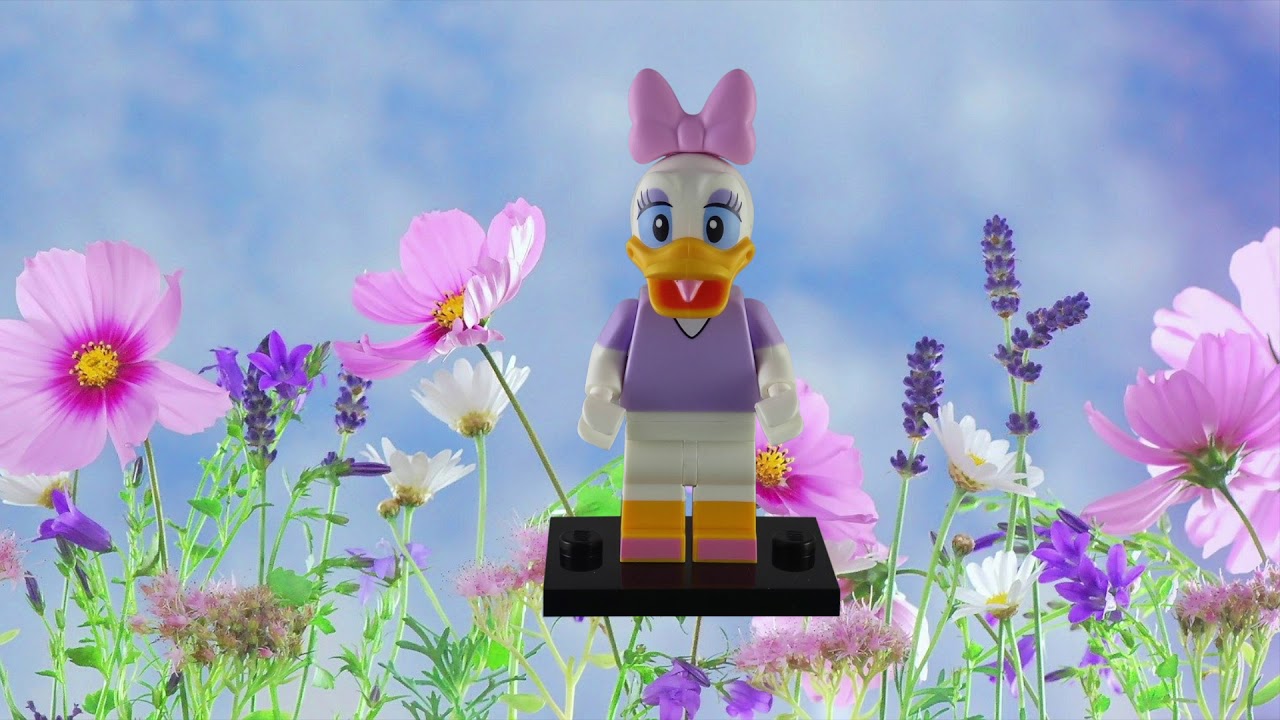 Stop Motion Build LEGO Daisy Duck Minifigure 71012-9 Collectable Disney ...