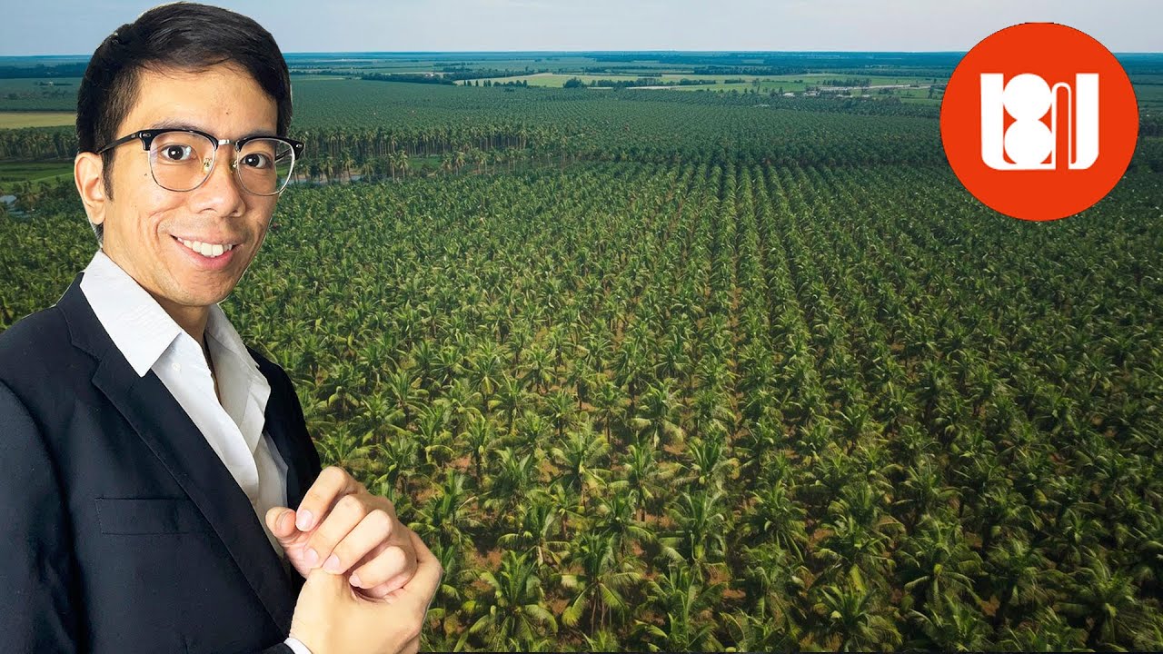 Insight Saham #130 : Prospek Bisnis saham TBLA Bakalan full Biodiesel ...