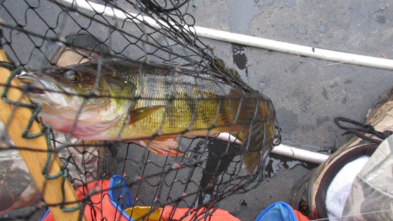 Preparing to be ALONE (part 9 of 14) - Camping Solo Can Be Tough & Fish ...