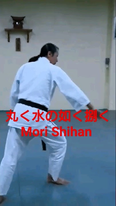 Mori Shihan「丸く水の如く捌く合氣道」森師範 八段 [ Katate-mochi Jiyu-waza ]Aikido Yoshinkan Brisbane Dojo 合氣道養神館豪州 ...