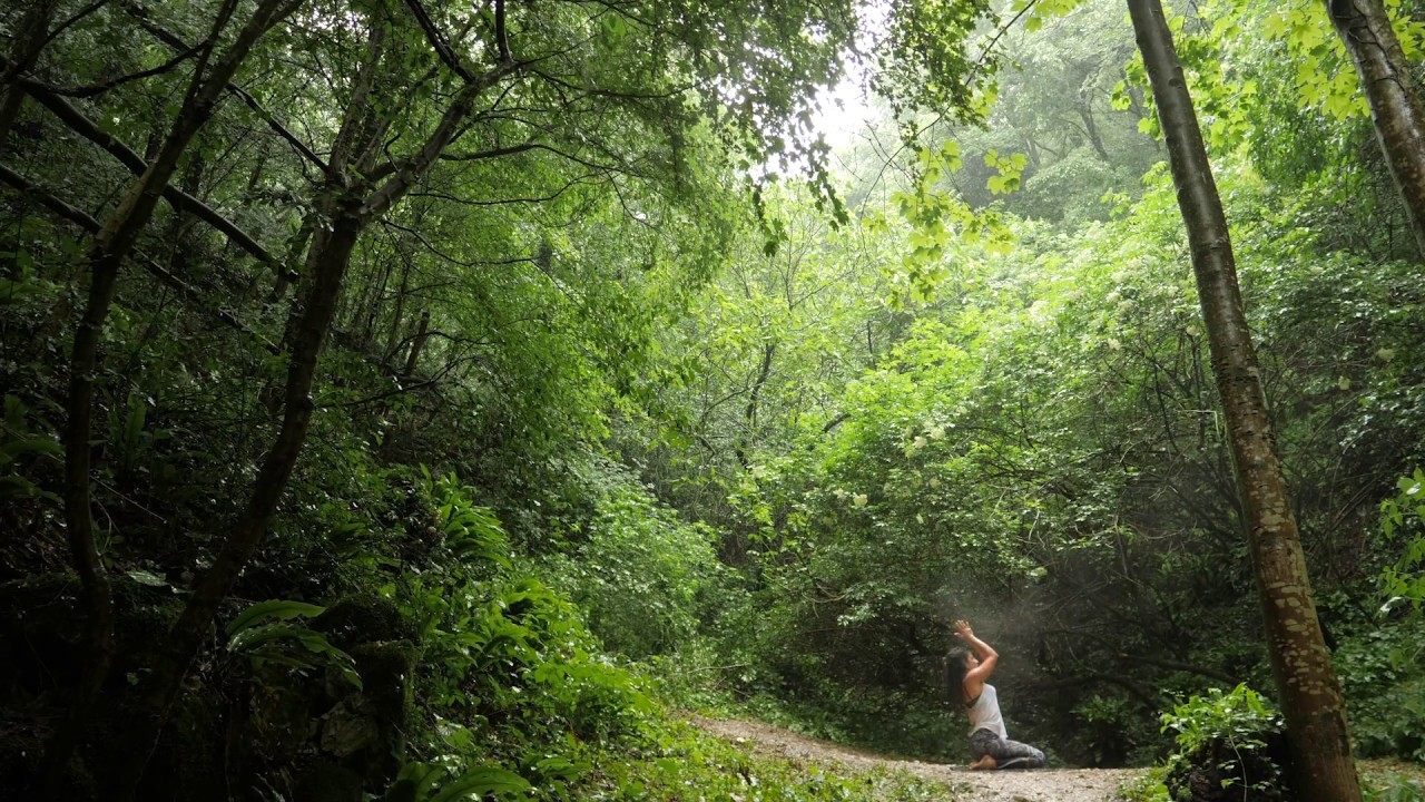 8 Hours of Calm Rain in the Forest and a Gentle Stream / Body Movement ...
