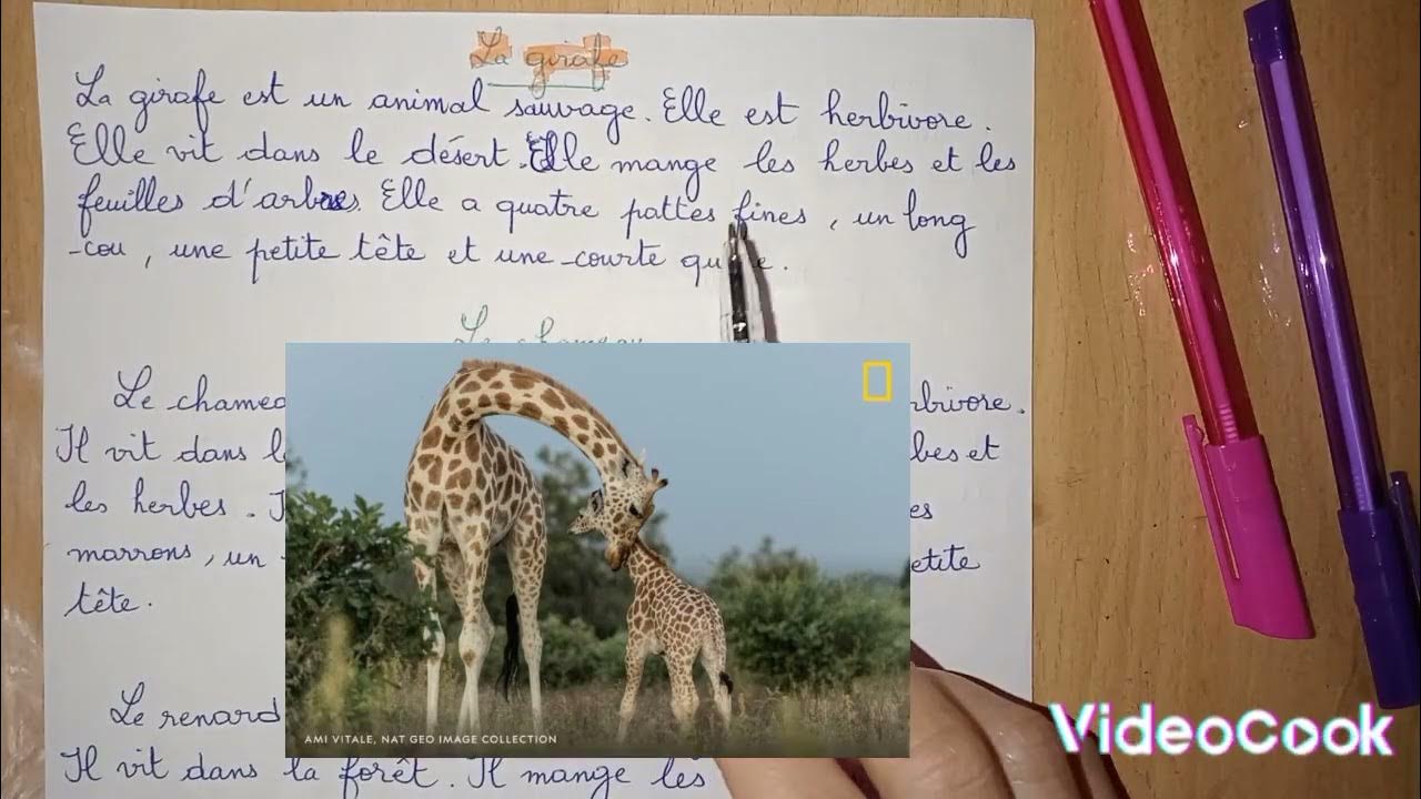 Production écrite sûr La girafe 5AP - YouTube