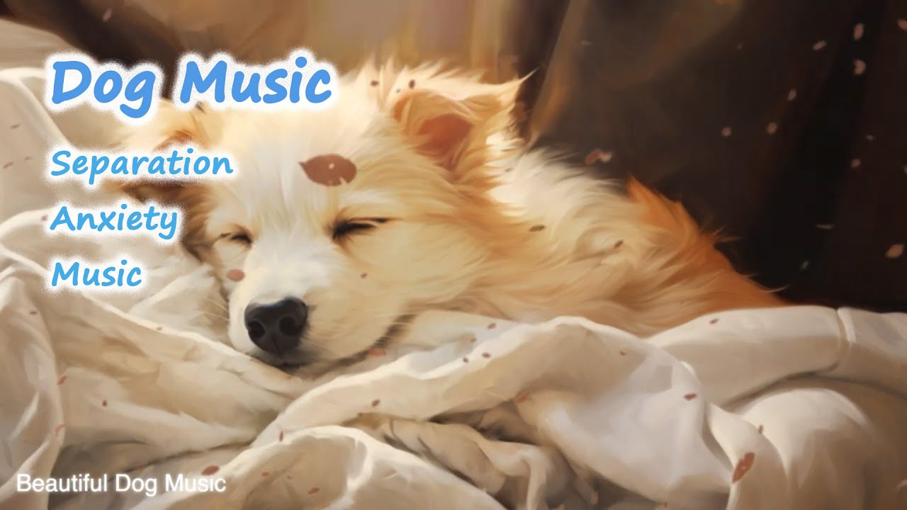 How to Relax Your Dog! Calm Dogs and Puppies Down with Soothing Music ...