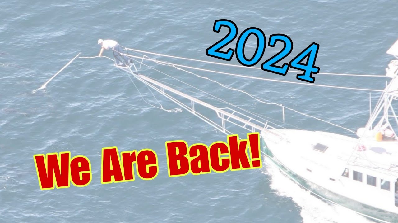 We Are Back! What's To Come in 2024 4K - YouTube