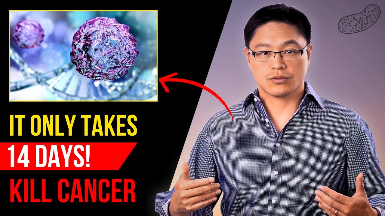 These 5 Foods Will Burn Fat and Heal Body — Dr Jason Fung - YouTube