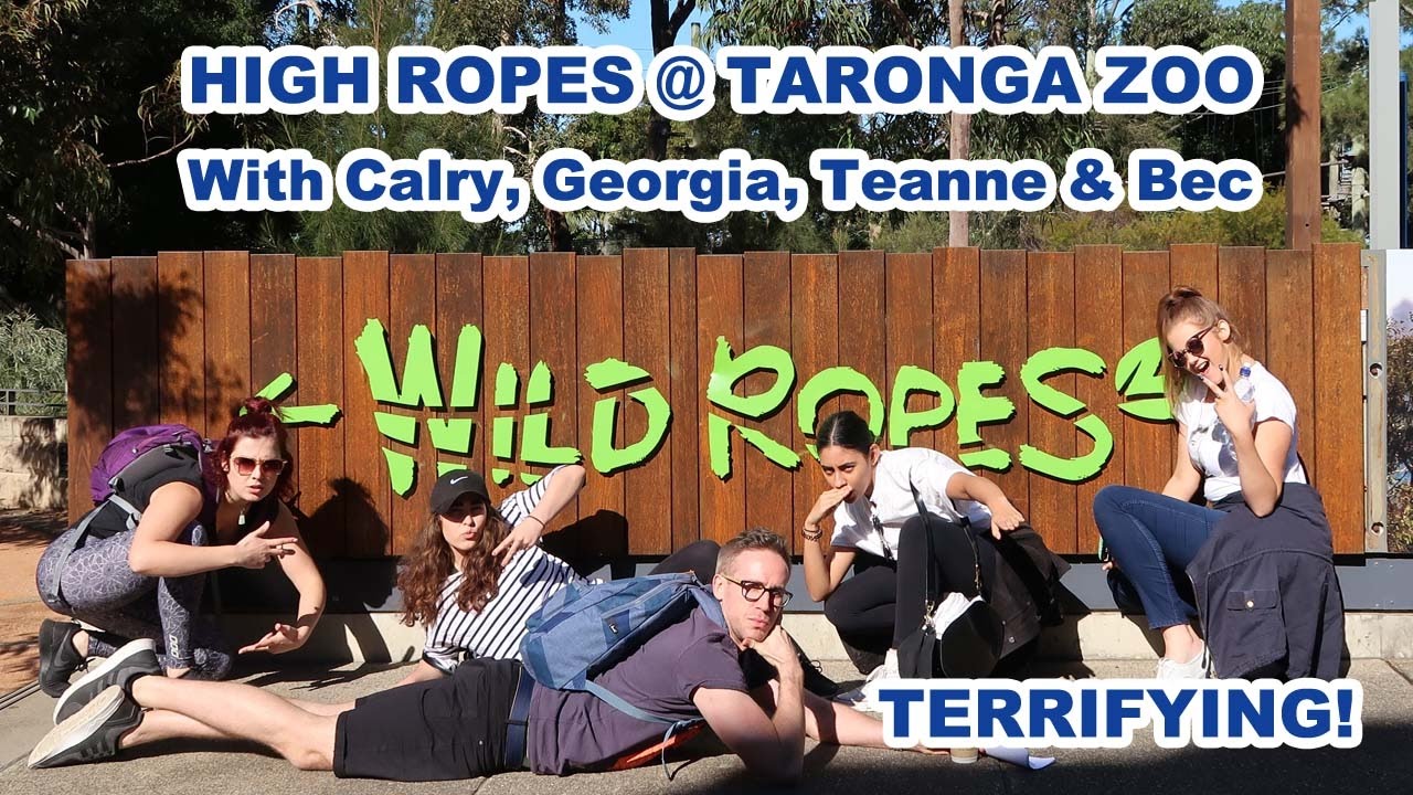 WILD ROPES at TARONGA ZOO! SCARY! - YouTube