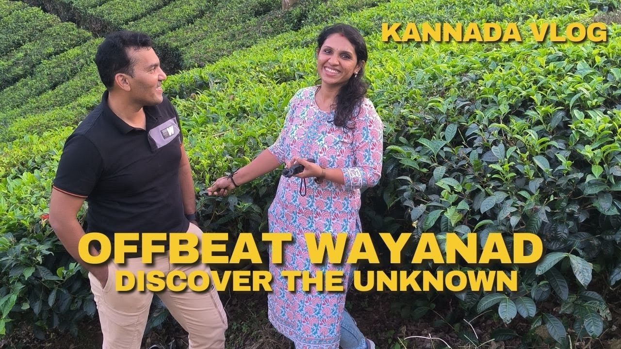 Offbeat Wayanad: Discover the Unknown | Day 1 | JUNGLE VALLEY RESORT - YouTube