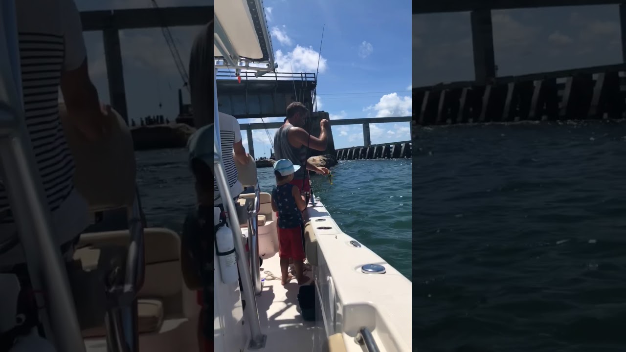 Marathon 7 mile bridge fishing 1 - YouTube