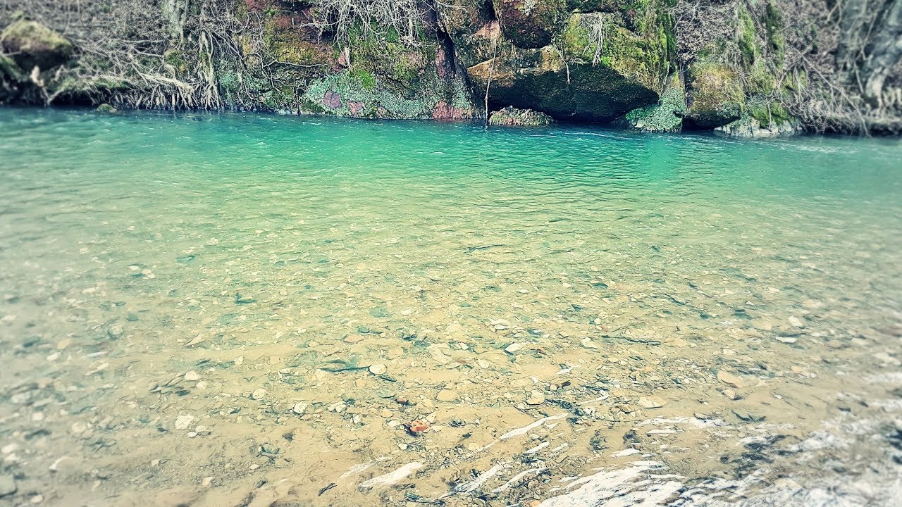 Pecanje Klena ( GoPro Fishing ) Reka Jerma,Daiwa Bolognese - YouTube