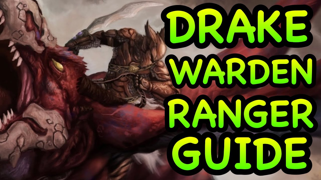 D&D5E: DRAKE WARDEN RANGER GUIDE - YouTube