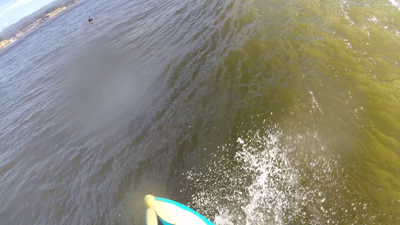 Sharks Cove Capitola - YouTube