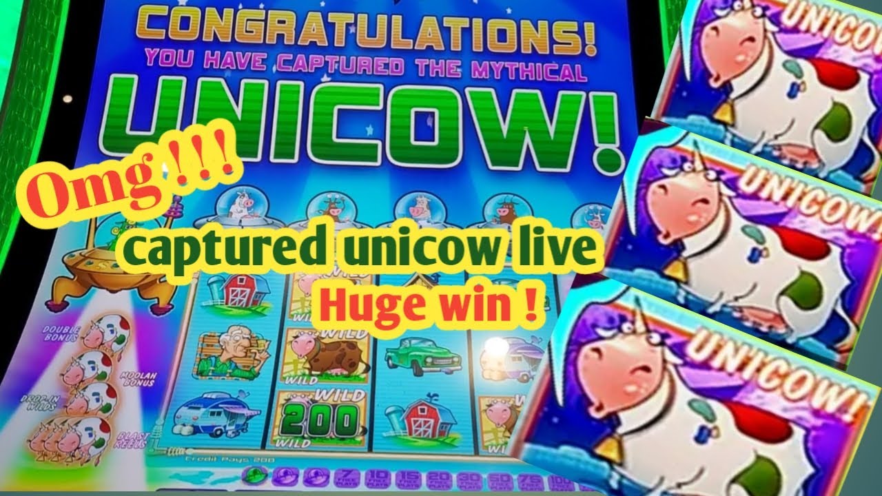 I captured the unicow live right after a bonus | Amazing big win ...