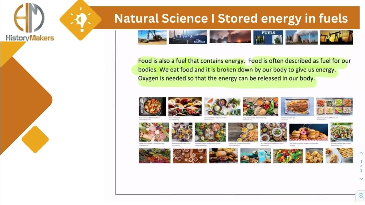 Grade 5 I Natural Science I Stored energy in Fuels - YouTube