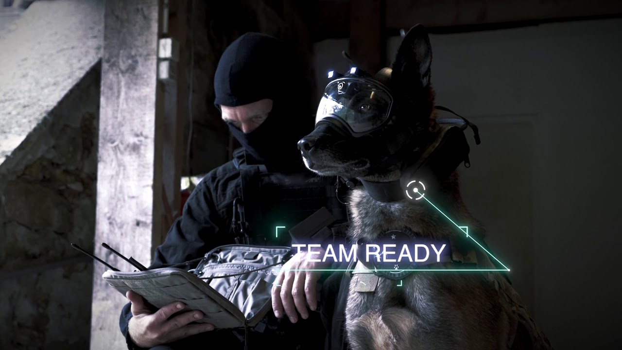 K9 Vision System, caméra pour chien - YouTube