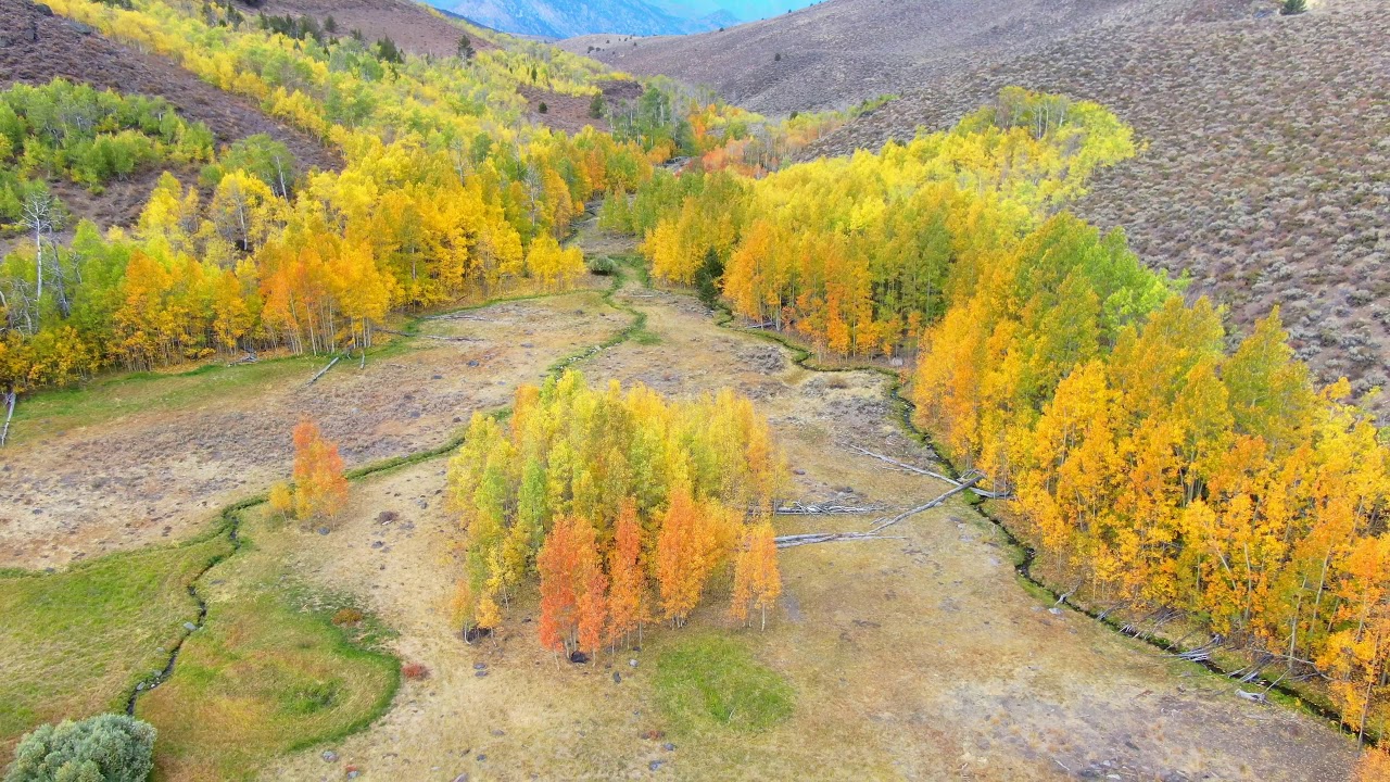 Eastern Sierra - Fall Colors 2020 4K - YouTube