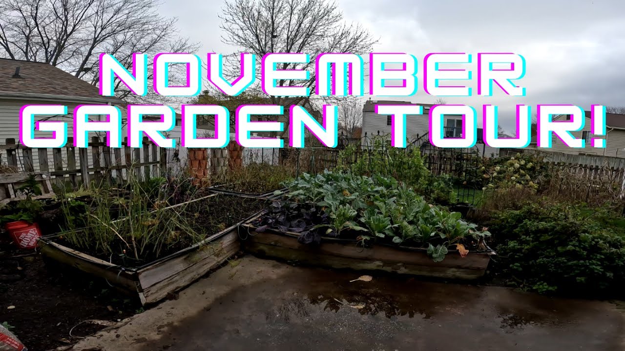 November Garden Tour: What’s Still Growing On Thanksgiving? - YouTube