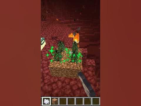 Minecraft Trees Plant in Nether #shorts #ytshorts #youtubeshorts - YouTube