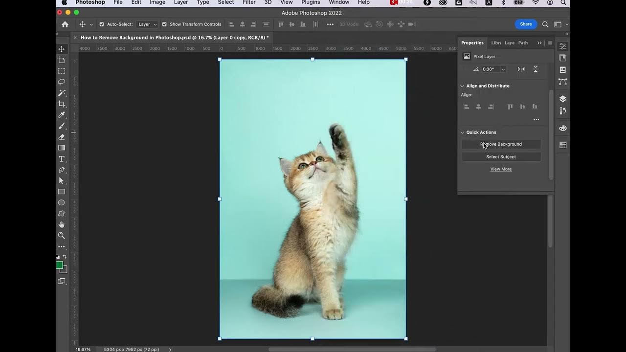 How to Remove Background with Adobe Photoshop Remove Background Tool ...