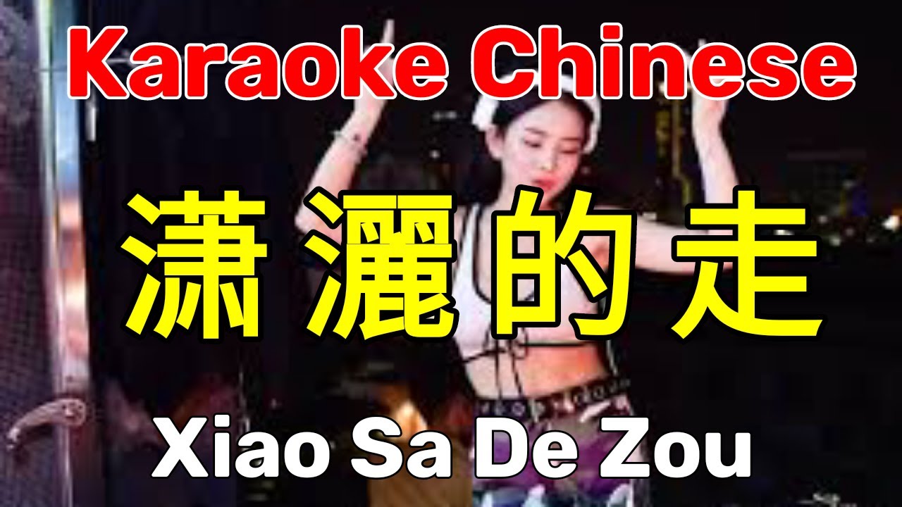 Karaoke DJ Chinese l 瀟灑的走 l Xiao Sa De Zou l Viethoa Karaoke - YouTube