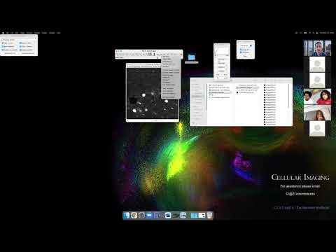 Introduction to using Fiji (ImageJ) - YouTube