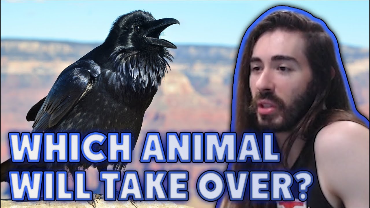 Which Animal Will Take Over After Humans? | MoistCr1tikal - YouTube