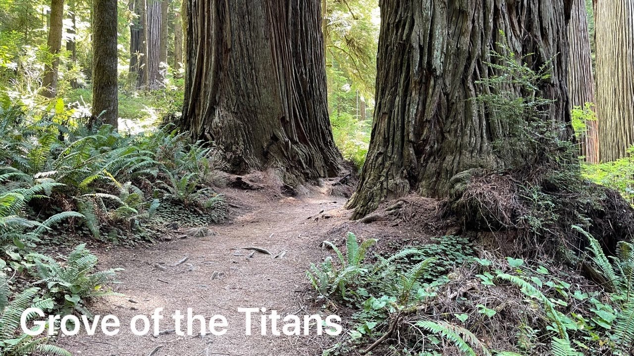 Grove of the Titans - YouTube