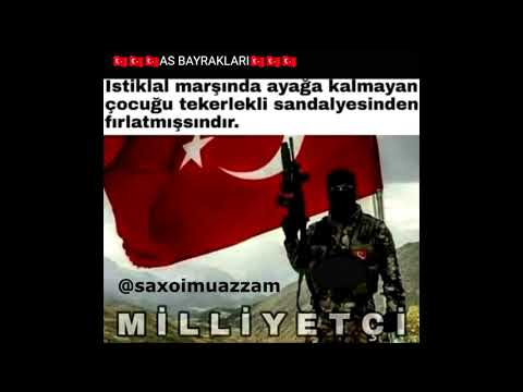 milliyetçi