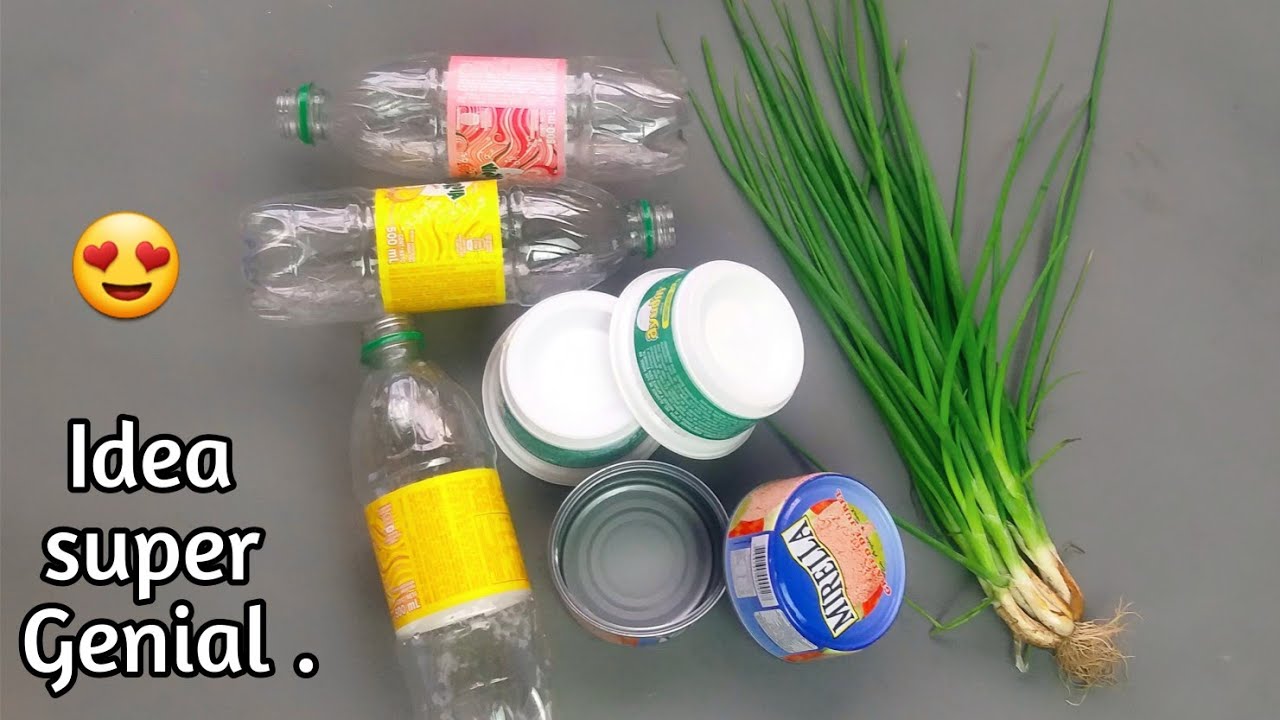Materiales Reciclables En Proyectos Tle