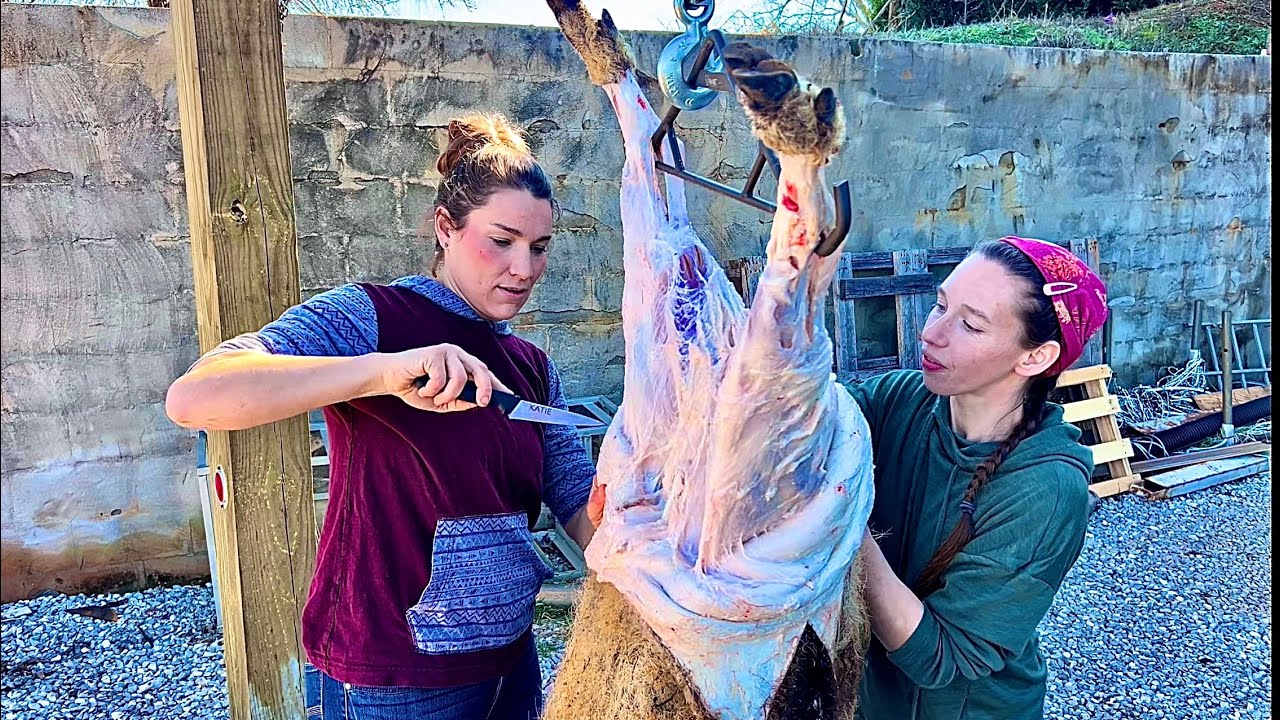 The “ALL WOMEN” skinned hog! - YouTube