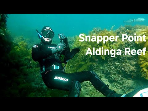 Snapper Point Aldinga Reef | Adelaide Freedive Tribe - YouTube