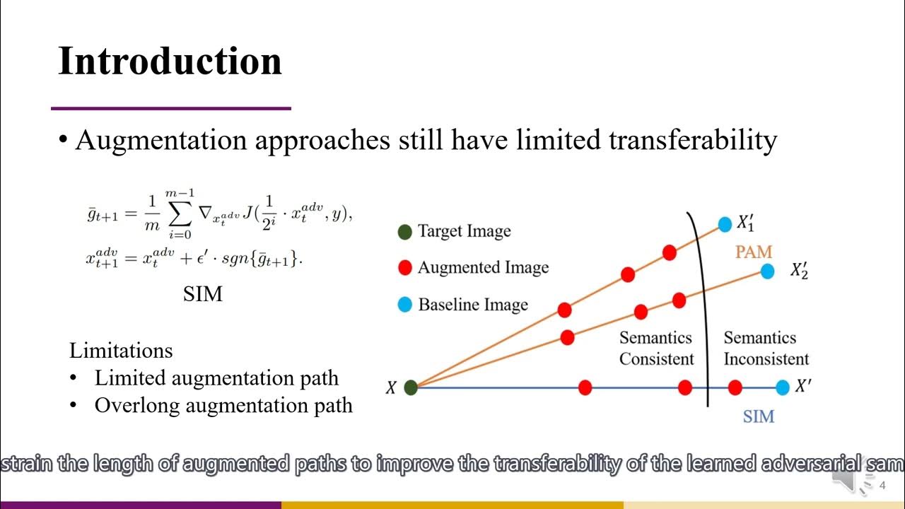 Improving the Transferability of Adversarial Samples by Path-Augmented Method - YouTube