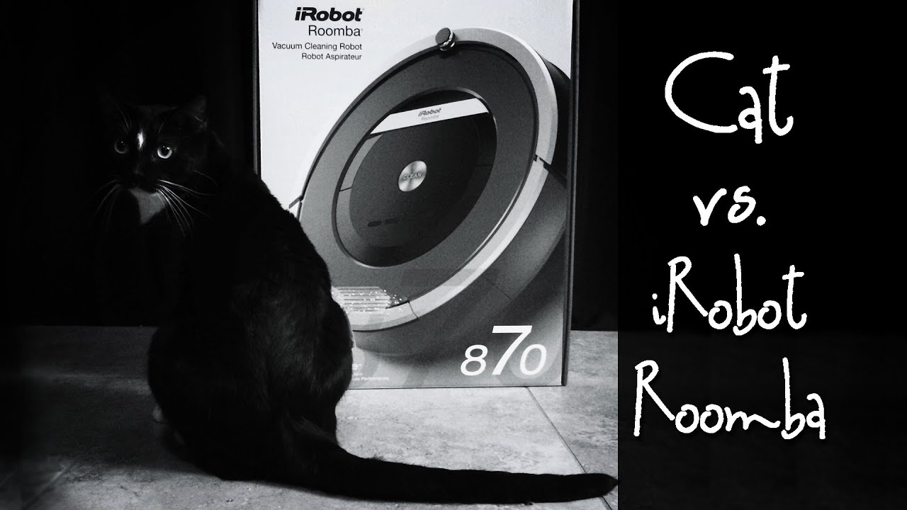 Cat vs. iRobot Roomba 870 - YouTube