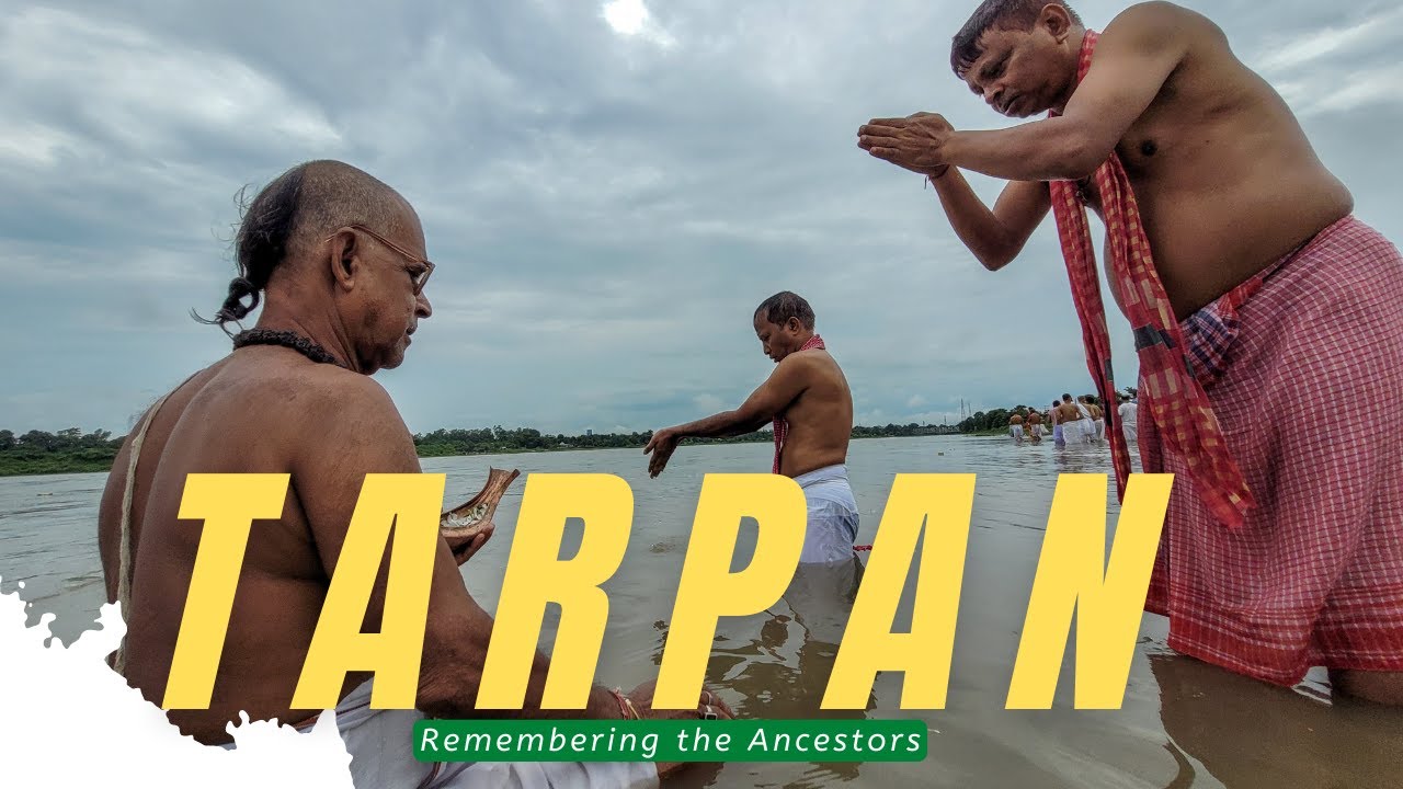 TARPAN | Remembrance of the ancestors | Finally Revealed - YouTube