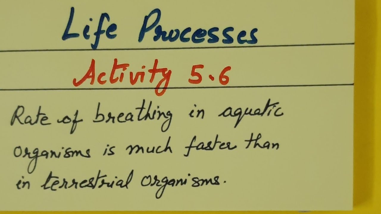 Class 10th Science Biology Activity 5.6 Life Processes by Shilpa ...