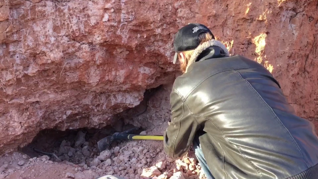 Prairie Rattlesnake Den! - YouTube