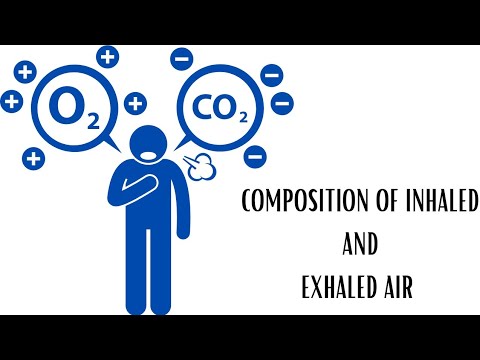 CAMBRIDGE IGCSE 2021/ Respiratory system/ Composition of inhaled and ...