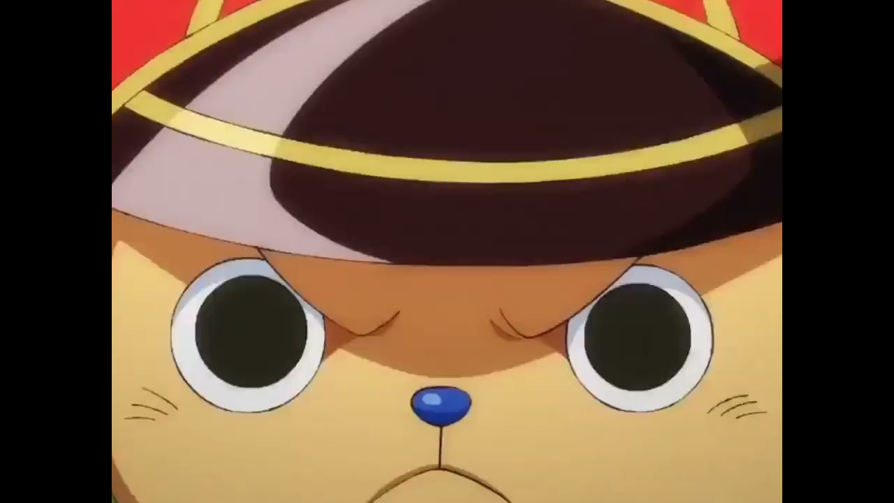 I am not a tanuki || chopper best moment chopper slaps queen - YouTube