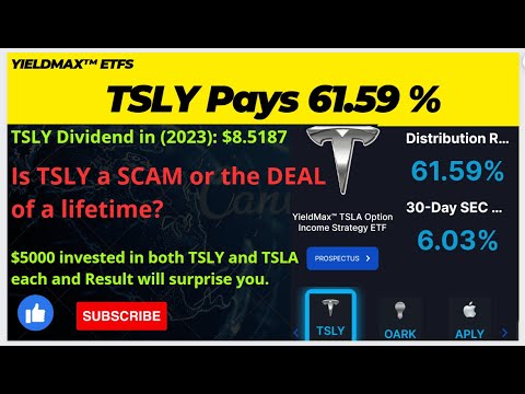 TSLY ETF High Paying Dividend Stock YieldMax ETF - YouTube