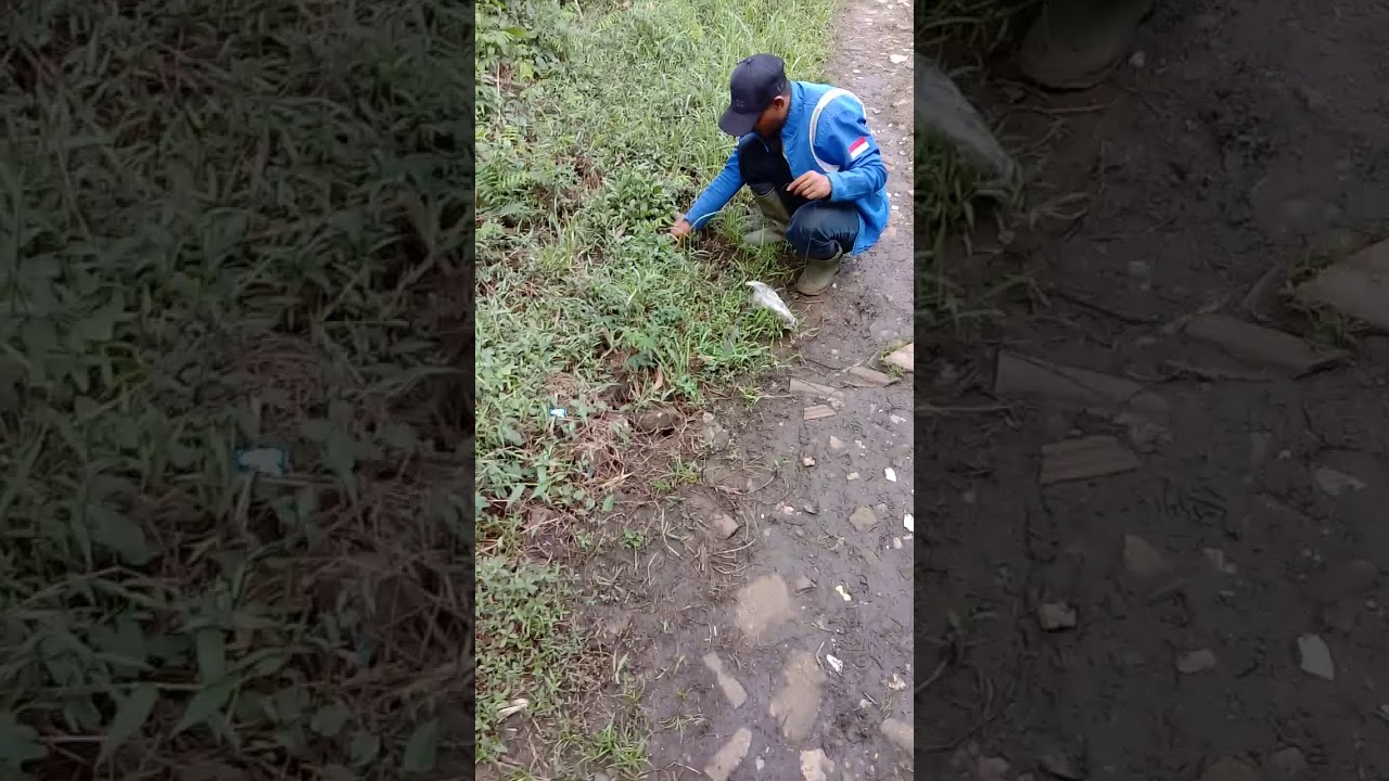 Lagi spot di rawa rawa - YouTube