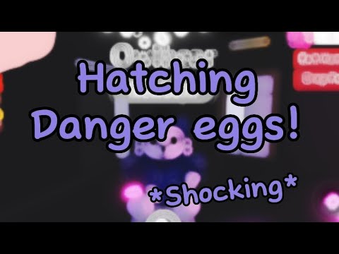 Hatching the new Danger eggs! *SHOCKING* - YouTube