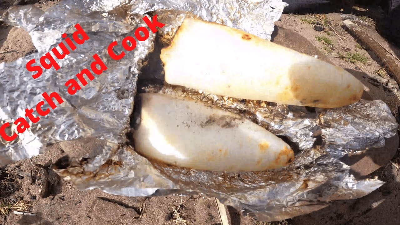 Squid Catch and Cook, Squid Fishing Tasmania - YouTube