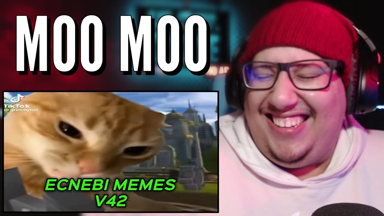 ECNEBI MEMES V42 - YouTube